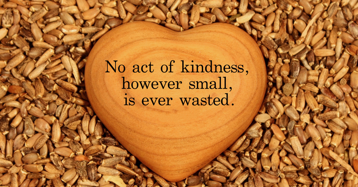 Sparking Positivity: The Kindness Domino Effect ...